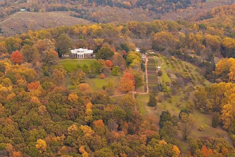 Monticello - Sarah Blank Design Studio